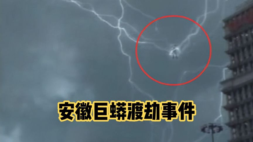 95年安徽巨蟒渡劫化龙事件!