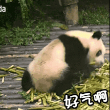 老司机带带我 