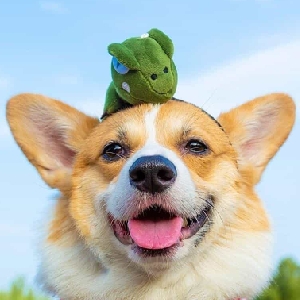 等效支教物理陈老师 