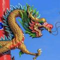龙源涅槃 