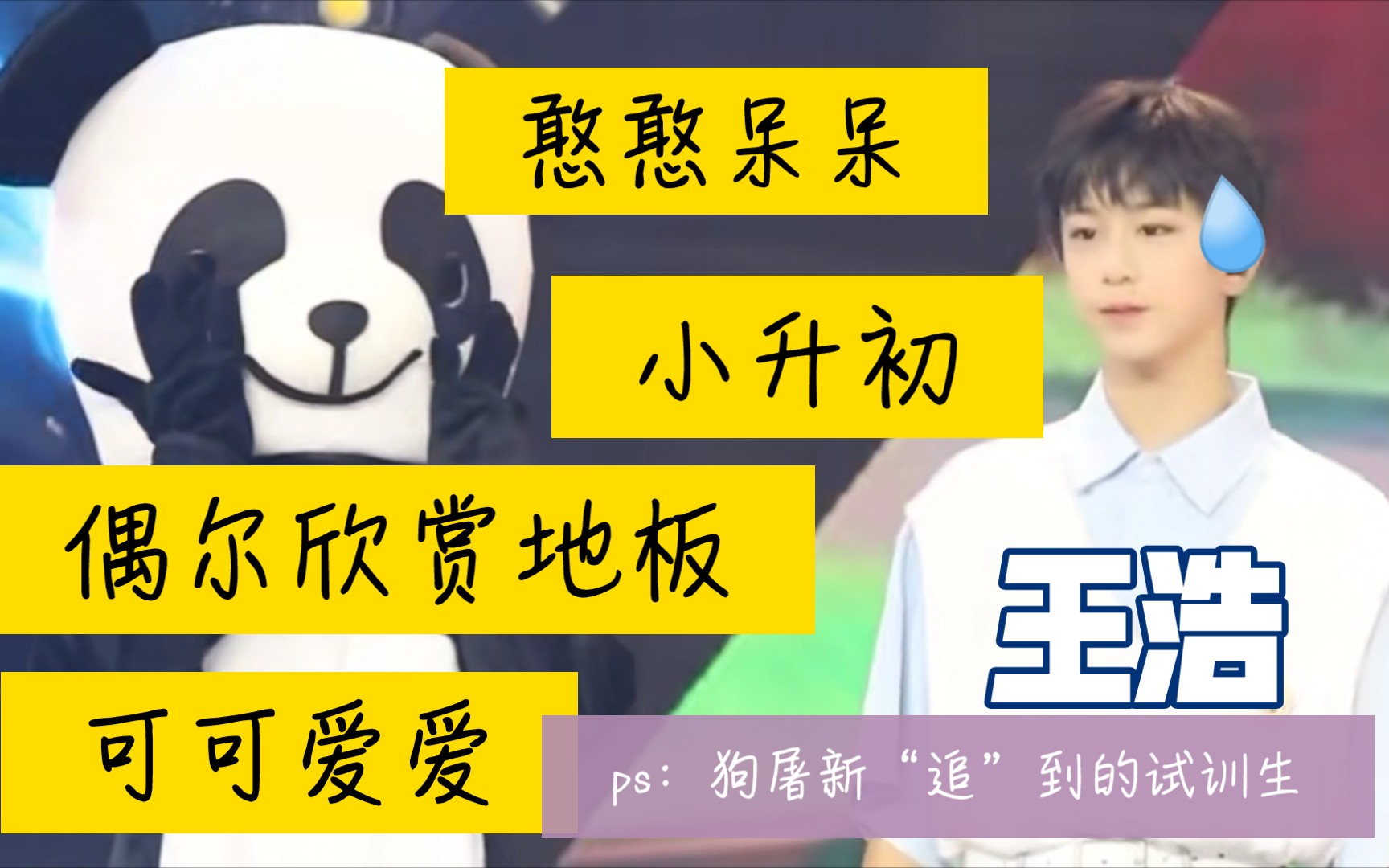【缺德配字】【TF家族三代试训生】王浩《小精灵》个人直拍/手足无...