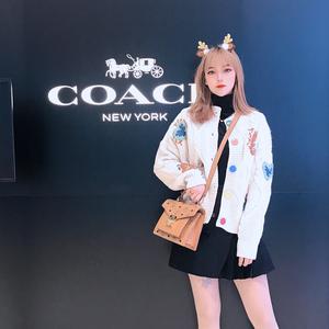 桂系街访一晔树 