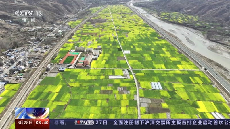 [新闻直播间]甘肃陇南 春风送暖 花开烂漫 河谷油菜花开 列车穿越花海