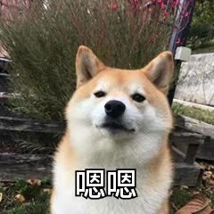 啊黔黔黔 