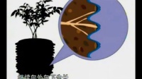 控根器宣传