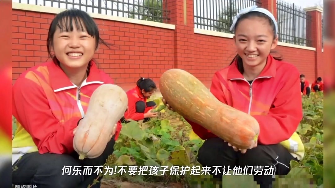 教育部发布普通高中劳动成为必修课,评论区哀嚎一片
