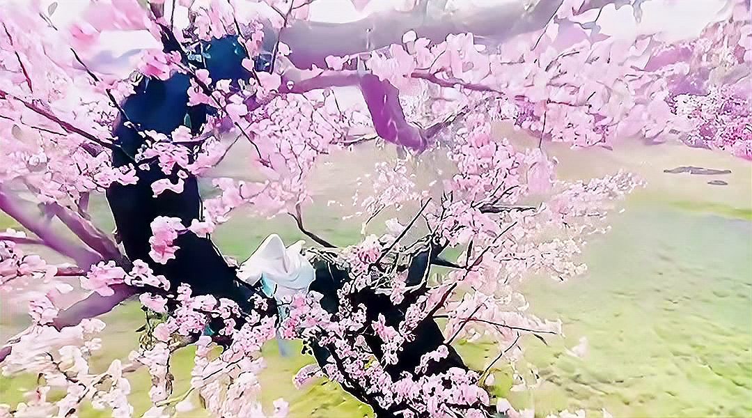 一首好听的古风歌曲《醉千年》,就只看了你一眼,就已确定了永远