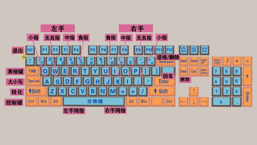 零基础电脑知识,掌握键盘标准指法,打字速度和准确率都可以提高