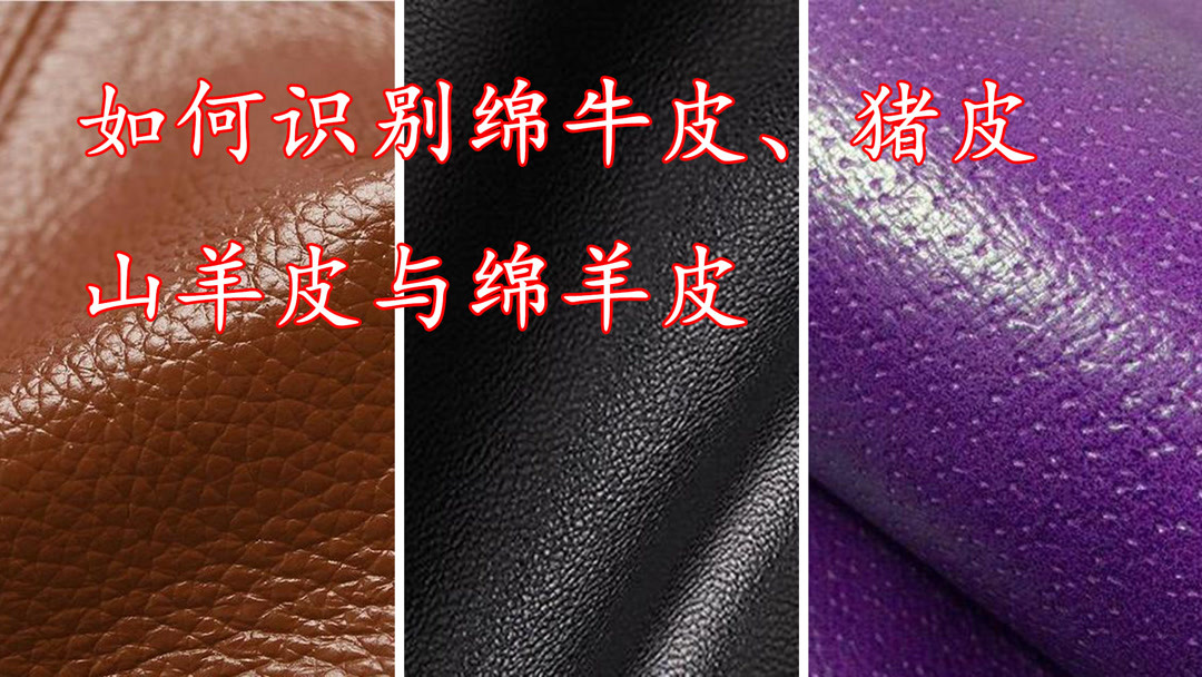 山羊皮、绵羊皮、牛皮、猪皮都有哪些特性与用处,如何去区分