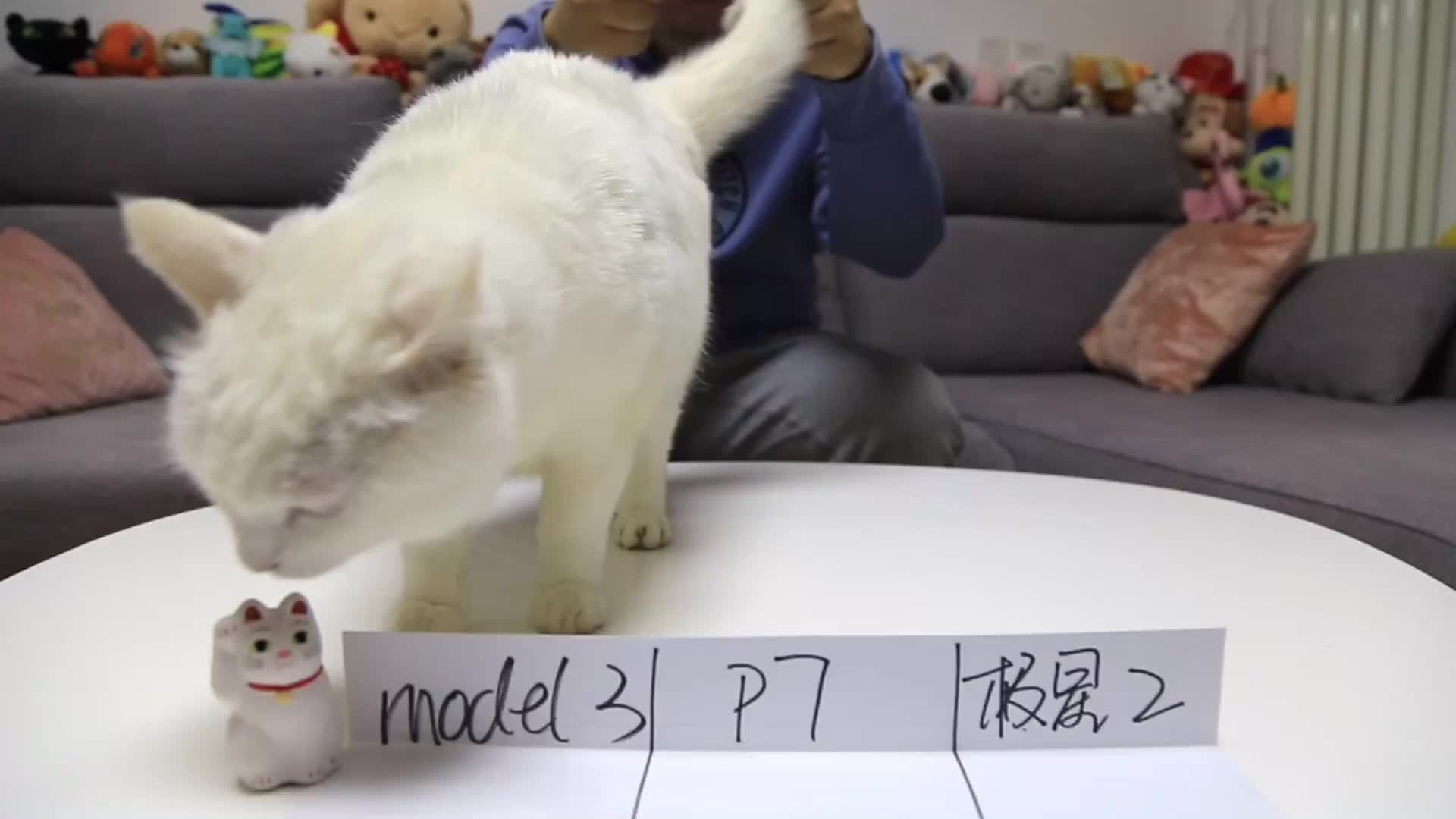 【木同圆李】国产model 3/小鹏P7/极星2 不吐不快