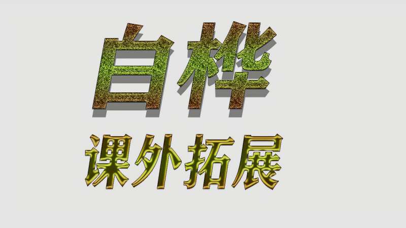 部编人教版小学语文四年级下册同步教程