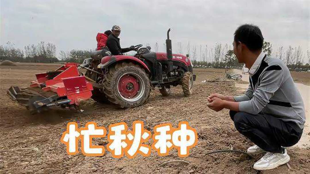 农村老家忙秋种,传统耕作模式发生改变,现今机械化为主,效率高