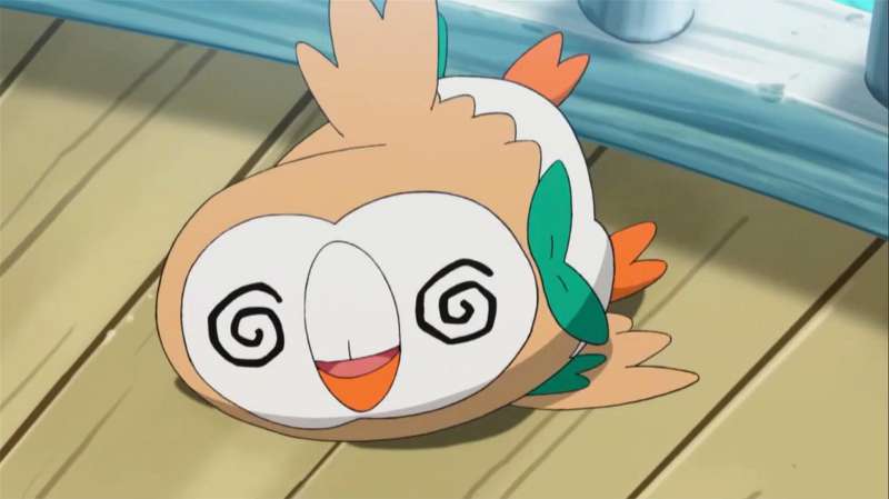 宝可梦:木木枭又在背包里,睡了一整天,给自己都睡迷糊了