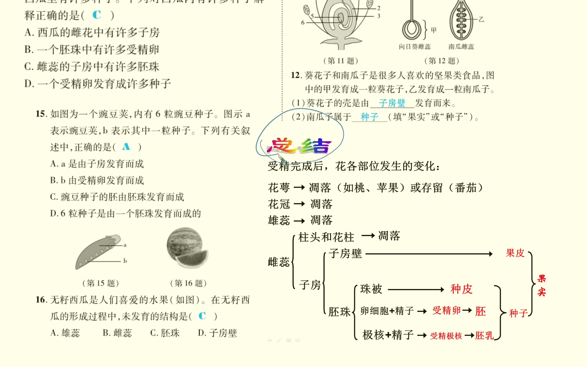 华师大版初中科学七年级下册:7.1绿色开花植物的有性生殖和发育、7.2...