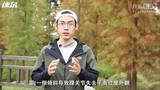 不小心崴脚,伤了三角韧带怎么办?