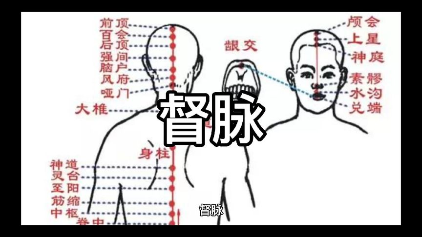 督脉任脉,经脉循行及主治概要