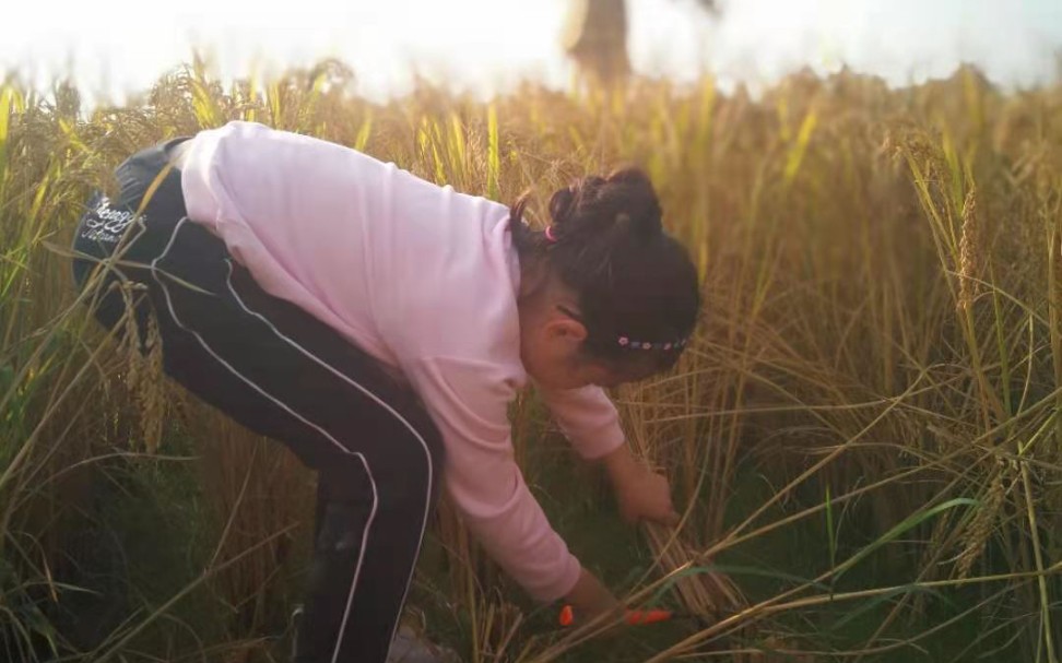 立国之战——抗美援朝