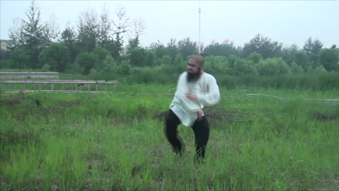 雪韵水墨画家吴大恺武术演示之三皇炮捶