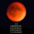 马儿嘞你慢些跑 