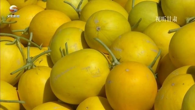 "民勤蜜瓜"获国家地理标志证明商标