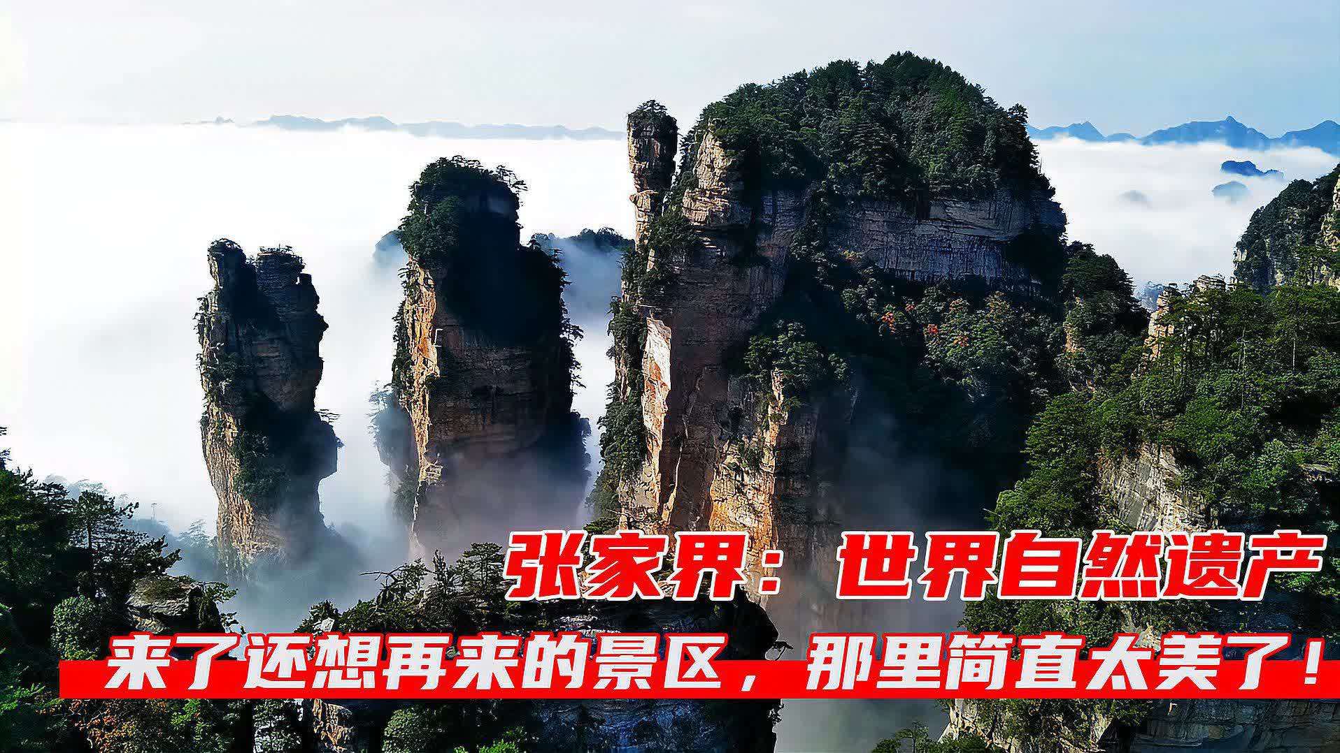 张家界:世界自然遗产,来了还想再来的景区,那里简直太美了!