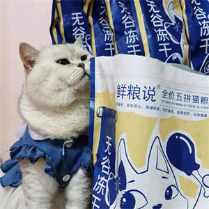 圈姥 