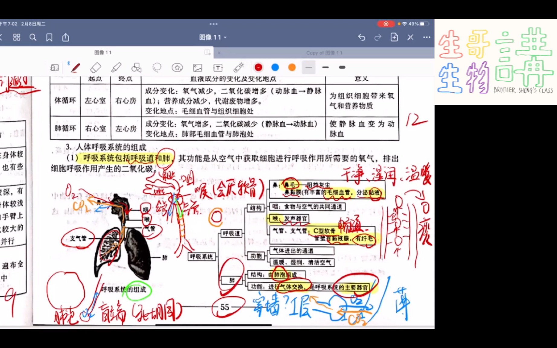 【生哥讲生物】中考知识补丁25 呼吸知识复习