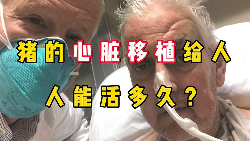 全球首例!美国男子成功移植猪的心脏!是人面兽心还是生命的传递