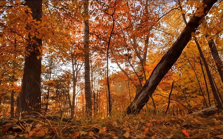 拼多多互砍微信群免费进最新群的机会并不多见