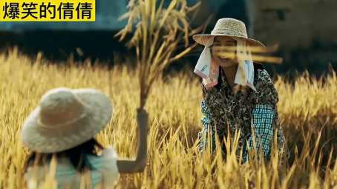 周杰伦一首《稻香》太经典了,勾起太多童年的回忆