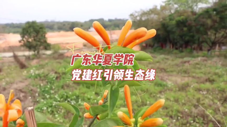 党建红引领生态绿#广东华夏高级技工学校 #党建活动 #党建文化