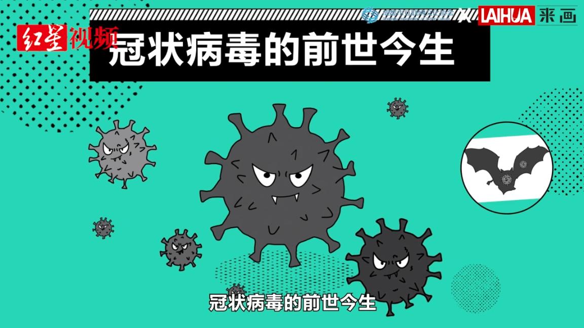 冠状病毒的前世今生