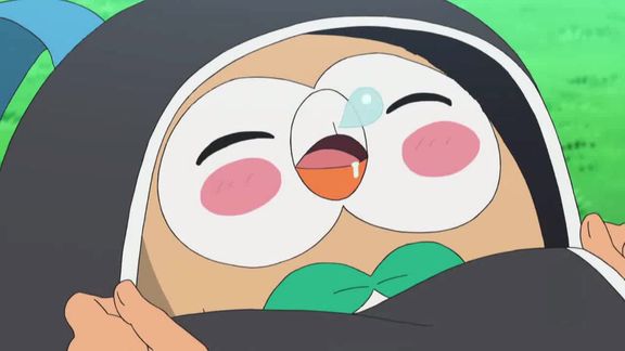 宝可梦:好萌啊,木木枭正在包里睡觉,醒醒啦该干活啦