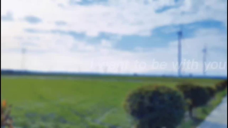 #田间地头 虾稻基地稻谷开始播种,好水好田出好米