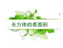 长方体的表面积