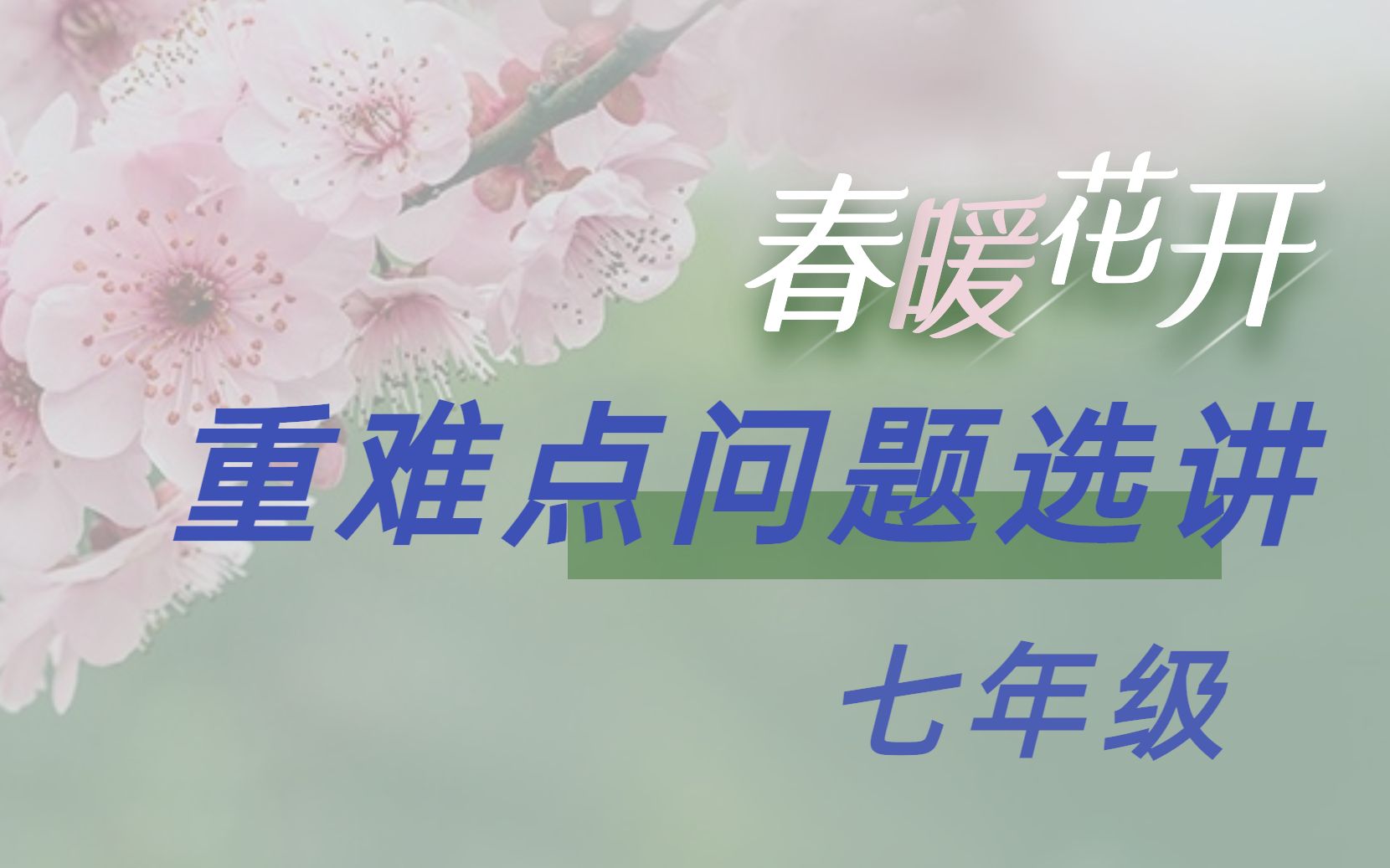 【七年级】重难点问题选讲——含参数的二元一次方程组典型问题