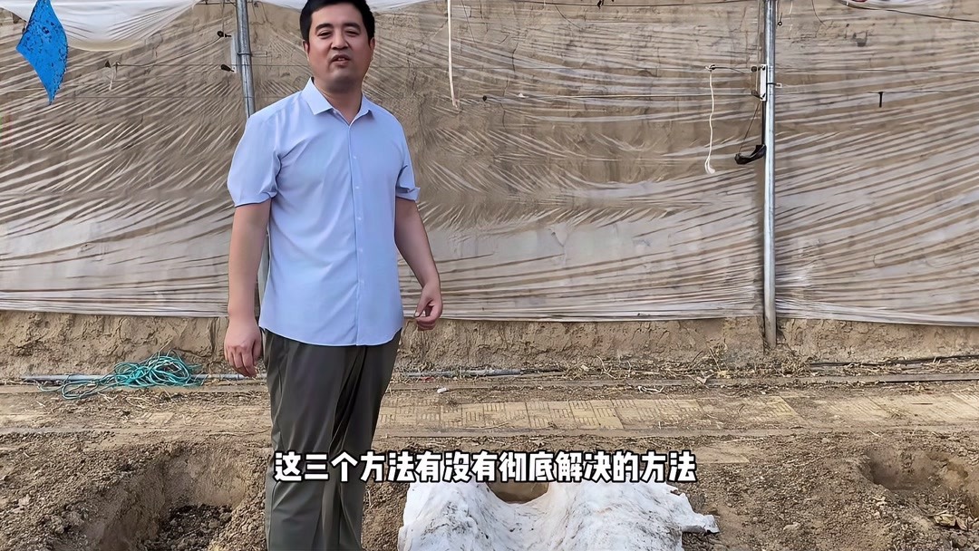 这项栽培技术全国适用!不用任何农药、彻底解决种植三大难题!