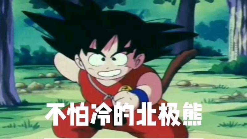 儿童睡前故事《不怕冷的北极熊》