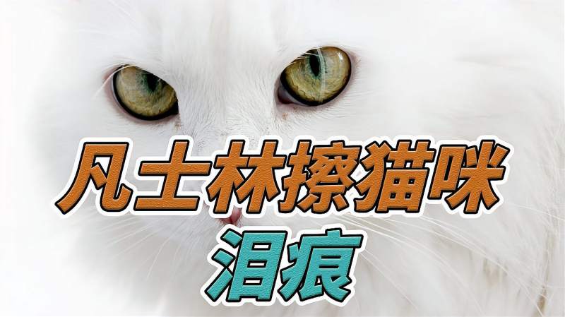凡士林擦猫咪泪痕