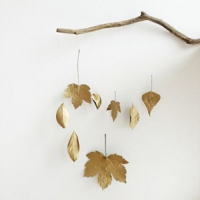 大鱼用户1592373845738224 