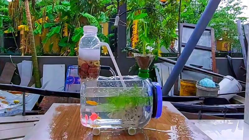 用饮料瓶和吸管,就能制作一款循环抽水装置,可以持续给鱼缸供氧