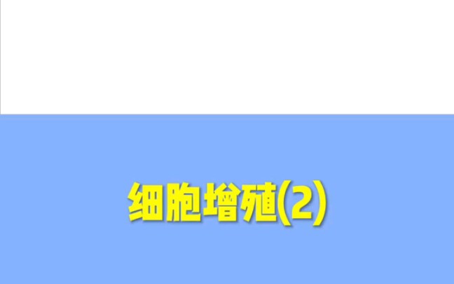 细胞增殖→细胞周期(2)
