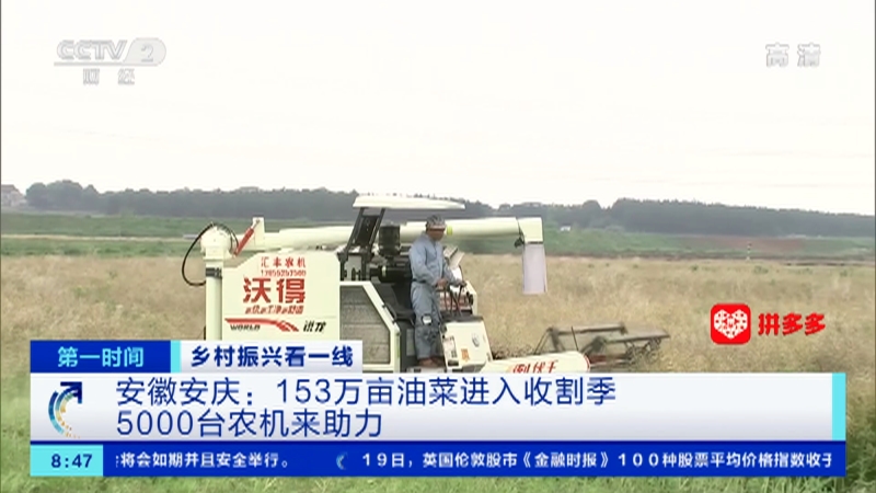 ...乡村振兴看一线 安徽安庆:153万亩油菜进入收割季 5000台农机来助力