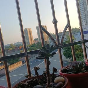 用户1530984536744004 