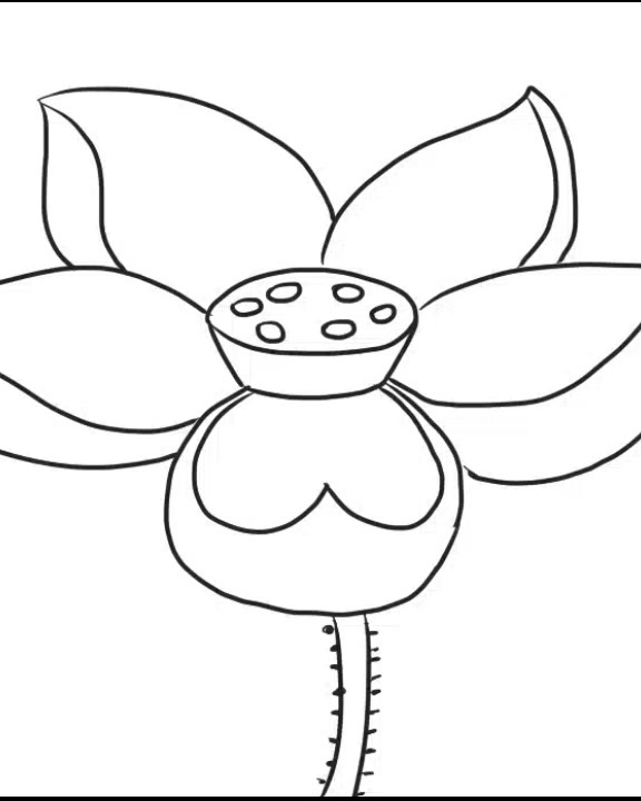 简单的荷花儿童亲子简笔画