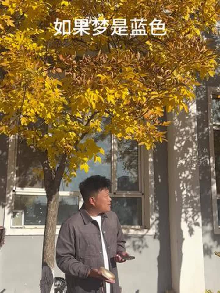 我的梦都是带颜色的