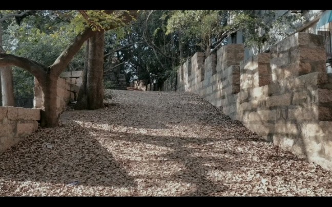 厦门城遗址探寻