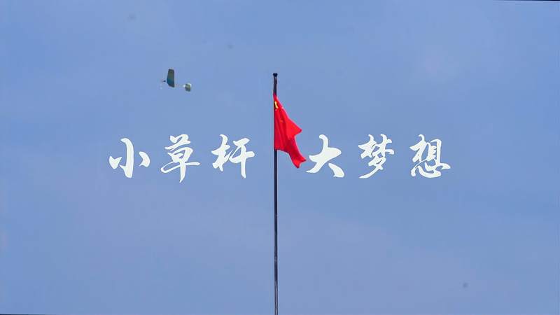 这个农村学校太牛了!用草杆制作飞机航模,不仅能飞还获了奖