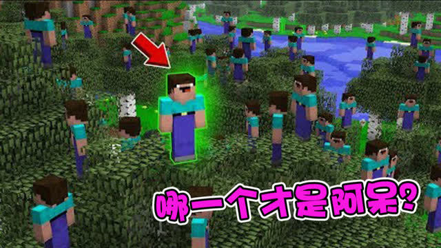 我的世界:哪一个是真正的阿呆?史蒂夫用钻石找出了答案!