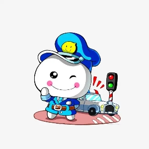 汽车安全驾驶督导员 